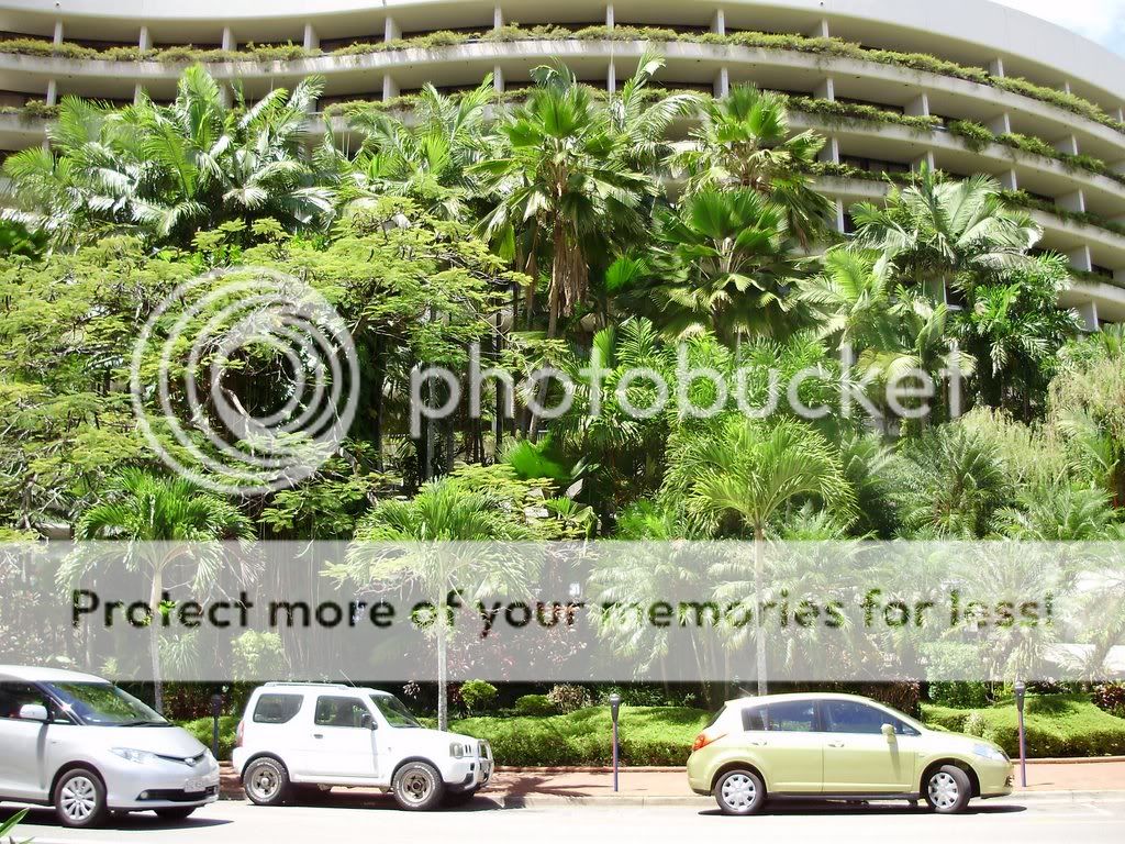 Cairns Area Travels - TRAVEL LOGS - PalmTalk