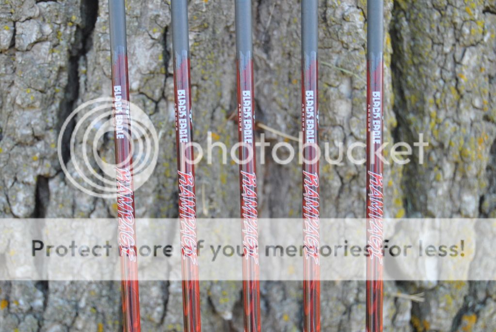 Pics of BLACK EAGLE ARROWS new RAMPAGE shafts... | Page 2 | Archery ...