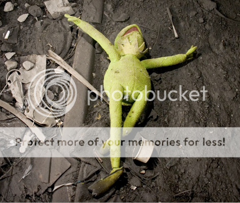 Roundup Question • Home Renovation & Building Forum